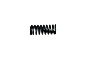Front (Direct) Clutch Piston Return Spring
